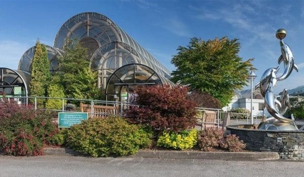 Hayes Garden World adds ‘Grow Your Own’ essentials to its online range ...