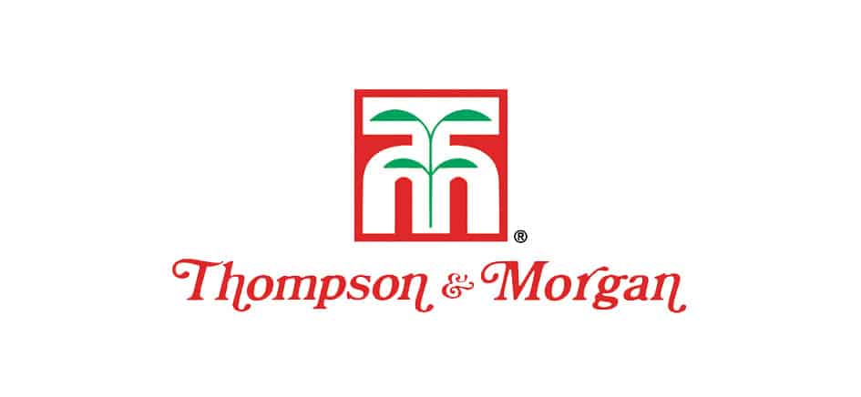 New CEO for Thompson and Morgan - Home of Direct Commerce